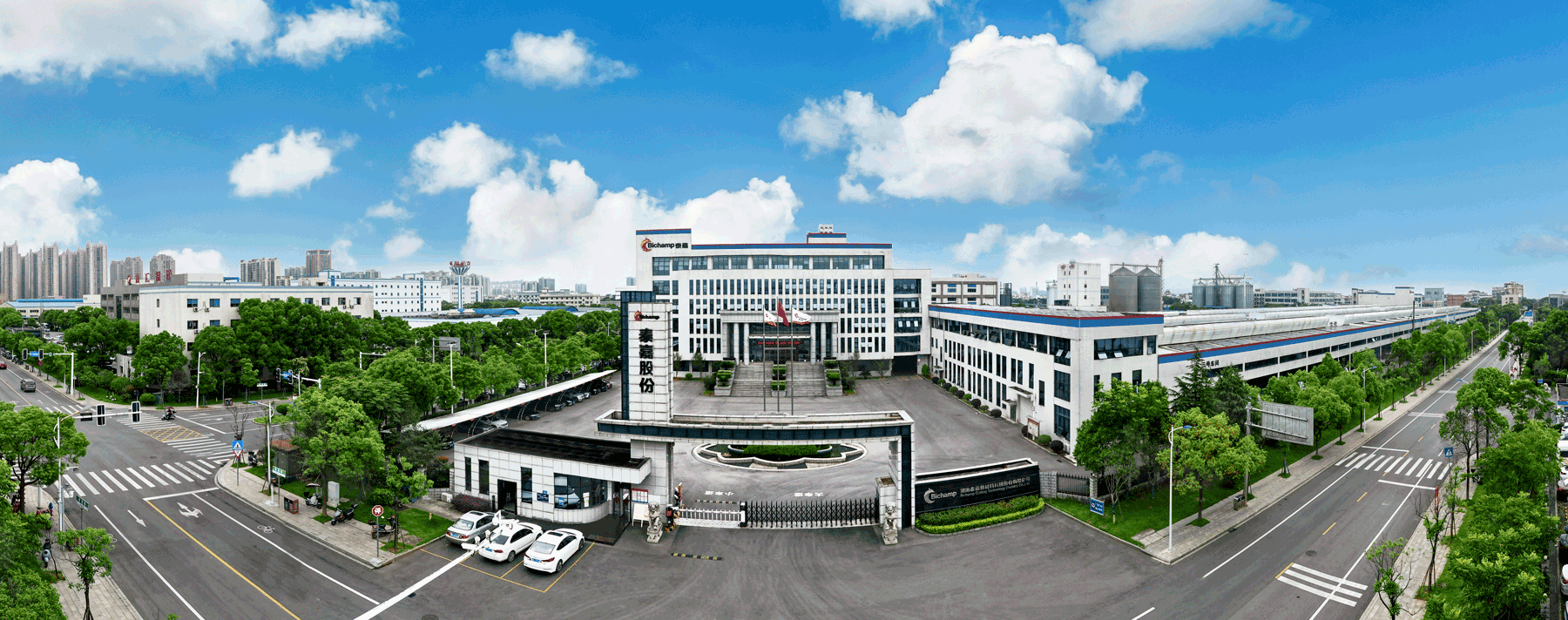 Bichampについて_Bichamp